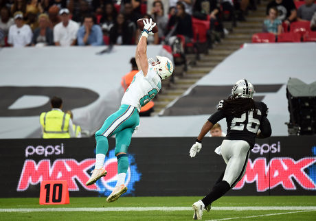 Miami Dolphins Wide Receiver Brian Hartline Editorial Stock Photo ...