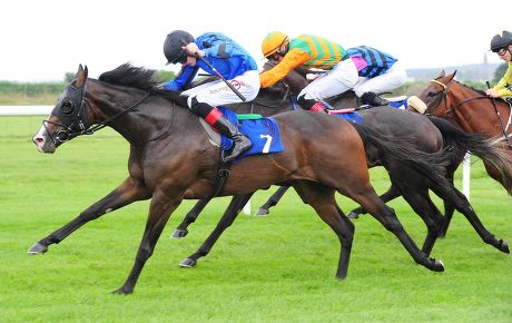 Roscommon Henson Connor King Win Follow Editorial Stock Photo - Stock ...