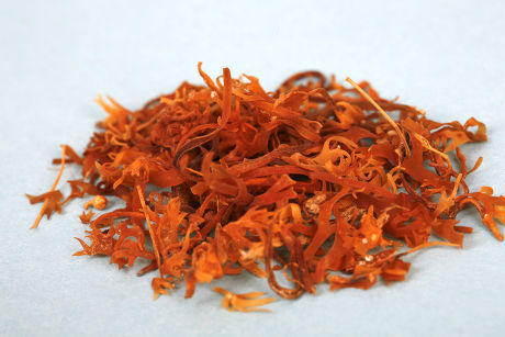 Chondus Herb Demulcent Used Relieve Minor Editorial Stock Photo - Stock ...