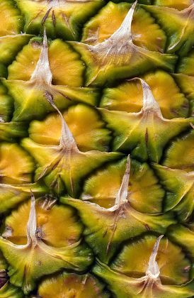 Close Pineapple Pineapple Contains Proteolytic Enzyme Editorial Stock ...