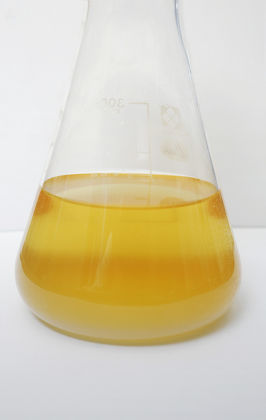 Yellow Liquid Erlenmeyer Flask Editorial Stock Photo - Stock Image ...