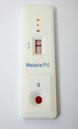 Immunochromatographic Tests Ict Malaria Antigens Ict Editorial Stock ...