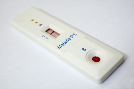 Immunochromatographic Tests Ict Malaria Antigens Ict Editorial Stock ...