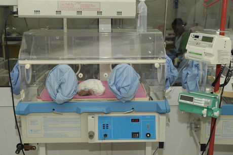 Premature Baby Incubator Neonatal Unit Hospital Editorial Stock Photo ...