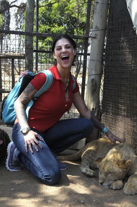 Bonnie Rotten Lion Park Lanseria Editorial Stock Photo - Stock Image ...