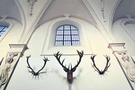 Detail Antler Collection Count Arcozinneberg German Editorial Stock ...