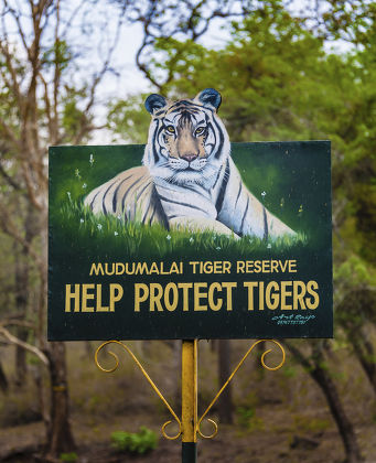 Help Protect Tigers Information Sign Mudumalai Editorial Stock Photo ...