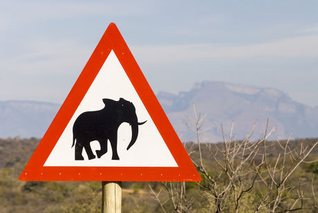 18 Elephant crossing sign Stock Pictures, Editorial Images and Stock ...