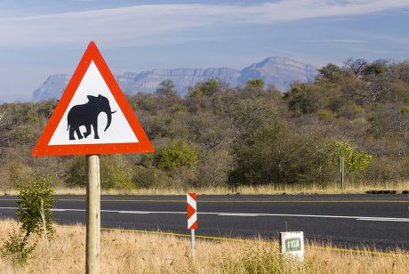 18 Elephant crossing sign Stock Pictures, Editorial Images and Stock ...