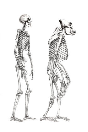 22 Evolution of medicine Stock Pictures, Editorial Images and Stock ...