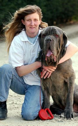 17 Operation mastiff Stock Pictures, Editorial Images and Stock Photos ...