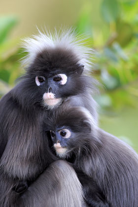 74 Closeness to nature Stock Pictures, Editorial Images and Stock ...