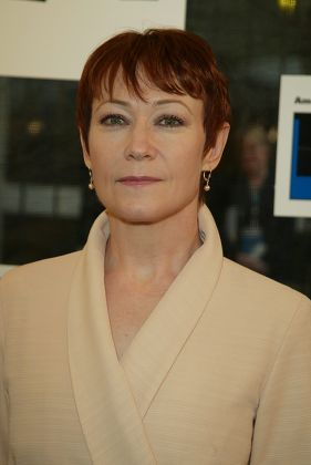 Ann Magnuson Editorial Stock Photo - Stock Image | Shutterstock