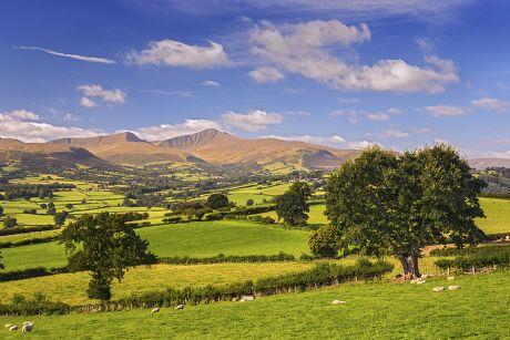 27 Distant farms Stock Pictures, Editorial Images and Stock Photos ...