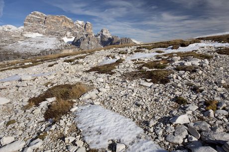 View High Gravelly Tundra Habitat On Editorial Stock Photo - Stock ...
