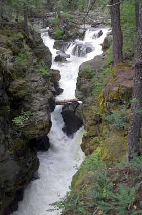 Rogue River Rogue River National Forest Editorial Stock Photo - Stock ...