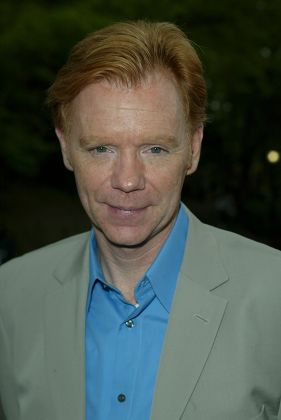 David Caruso Editorial Stock Photo - Stock Image | Shutterstock