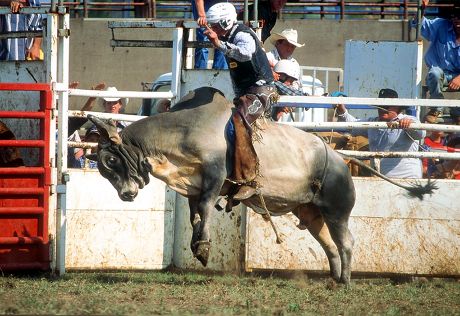 Rodeo Cessnock Hunter Valley Editorial Stock Photo - Stock Image ...