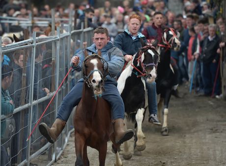 Riders Test Horses During Short Races Editorial Stock Photo - Stock ...