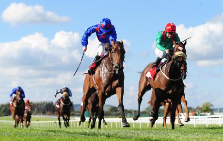 Curragh Fastnet Mist Wayne Lordan Left Editorial Stock Photo - Stock ...