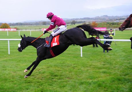 Punchestown Don Cossack Bryan Cooper Jump Editorial Stock Photo - Stock ...
