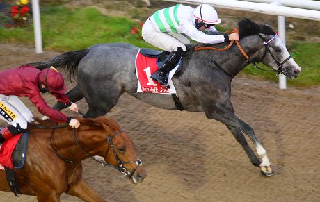 Dundalk Algonquin Rory Cleary Wins Sacrificial Editorial Stock Photo ...
