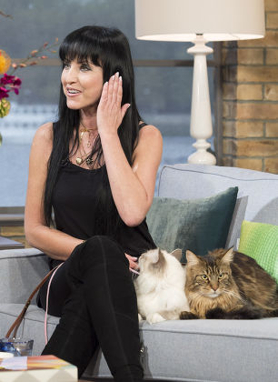 Tabby Miles Editorial Stock Photo - Stock Image | Shutterstock