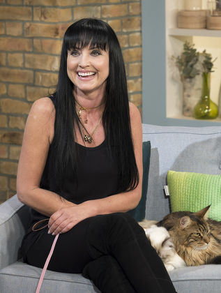 Tabby Miles Editorial Stock Photo - Stock Image | Shutterstock