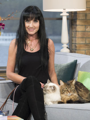 Tabby Miles Editorial Stock Photo - Stock Image | Shutterstock