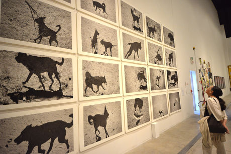 Mondo Cane Shadow Portraits By Thomas Editorial Stock Photo - Stock ...