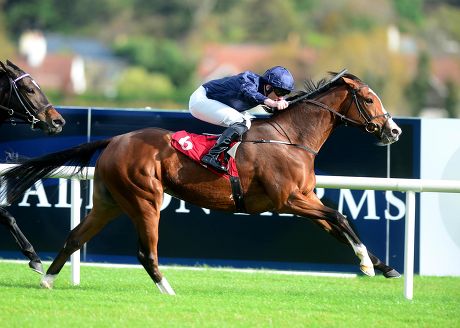 Leopardstown Easter Seamie Heffernan Wins Stellar Editorial Stock Photo ...