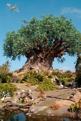 Tree Life Animal Kingdom Editorial Stock Photo - Stock Image | Shutterstock