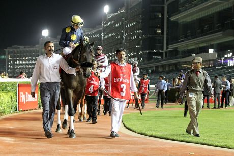 Horse Racing from Meydan, Dubai - 06 Nov 2014 Stock Pictures, Editorial ...