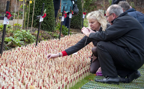 Poppy Cross Planted Lydiard Field Remembrance Editorial Stock Photo ...