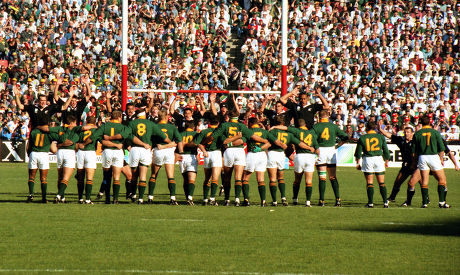 Rugby Union 1995 World Cup Rwc Editorial Stock Photo - Stock Image ...