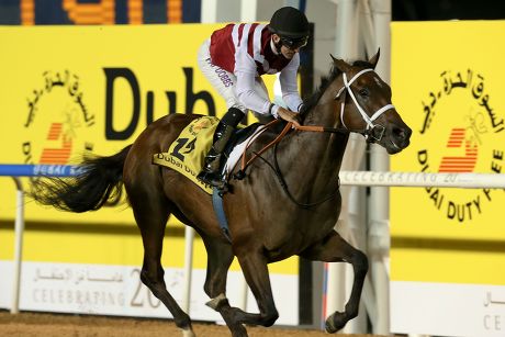 Horse Racing from Meydan Racecourse, Dubai, United Arab Emirates - 20 ...