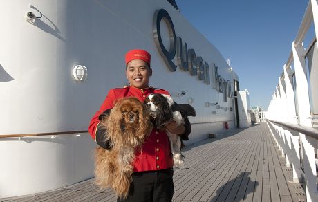 Queen Mary 2 Kennels Feature Kennel Editorial Stock Photo - Stock Image ...
