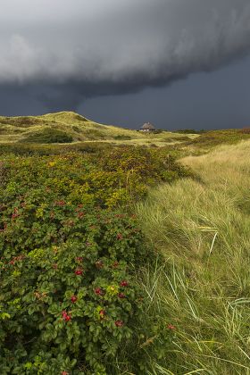 Dramatic Storm Clouds Over Dunes Henne Editorial Stock Photo - Stock Image | Shutterstock