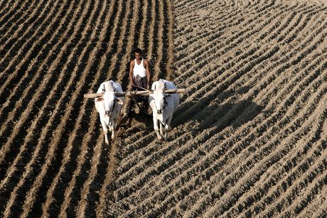 19 Full field pack Stock Pictures, Editorial Images and Stock Photos ...