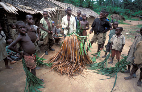 Pygmies Bayaka Dzanga Sangha Rainforest Dance Editorial Stock Photo ...