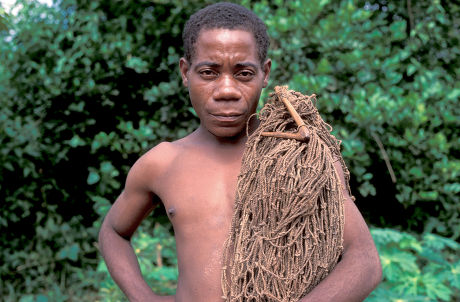 Pygmies Masters Rainforest Use Nets Catch Editorial Stock Photo - Stock ...
