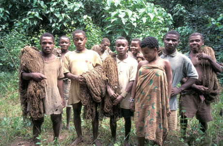 Wasse Other Pygmies Ready Hunt One Editorial Stock Photo - Stock Image ...