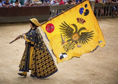 Man Carrying Flag Eagle Aquila Contrade Editorial Stock Photo - Stock ...