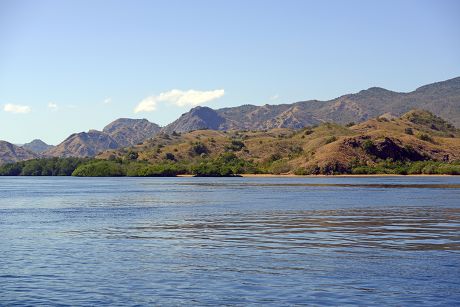 Hills Grassland Rinca Island Komodo National Editorial Stock Photo ...