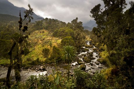 250 Afro alpine Stock Pictures, Editorial Images and Stock Photos ...