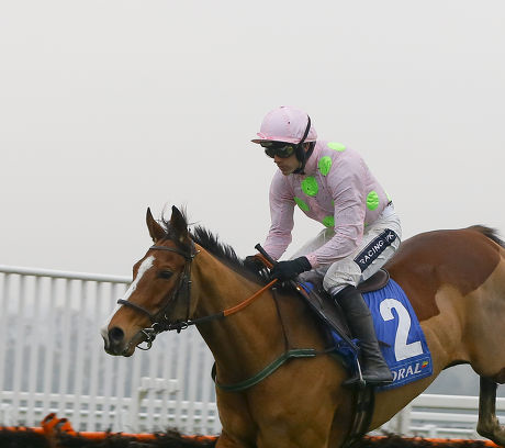 Faugheen Ruby Walsh Wins Coral Hurdle Editorial Stock Photo - Stock ...