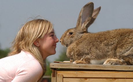 Students Animal Unit Based Brackenhurst Campus Editorial Stock Photo ...