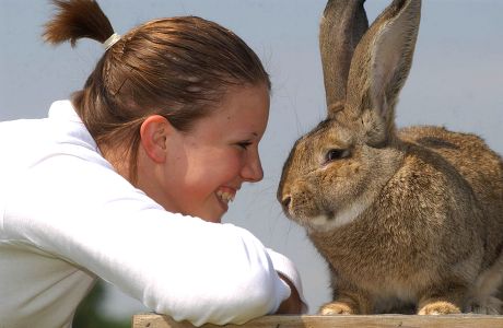 Students Animal Unit Based Brackenhurst Campus Editorial Stock Photo ...
