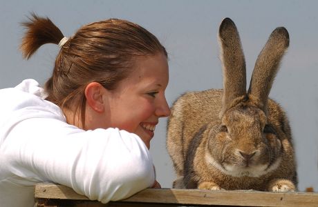 Students Animal Unit Based Brackenhurst Campus Editorial Stock Photo ...