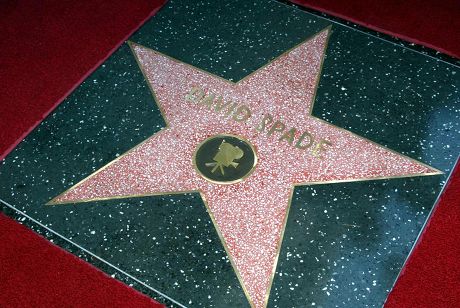 David Spade Star On Hollywood Walk Editorial Stock Photo - Stock Image ...